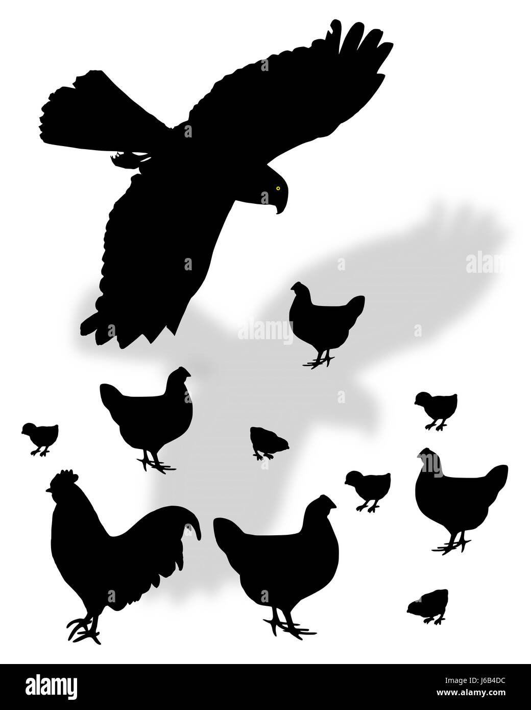 raptor prey search Stock Photo - Alamy