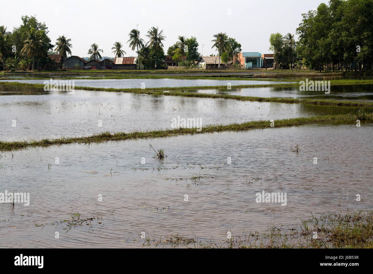east asia scenery countryside nature shine shines bright lucent light ...