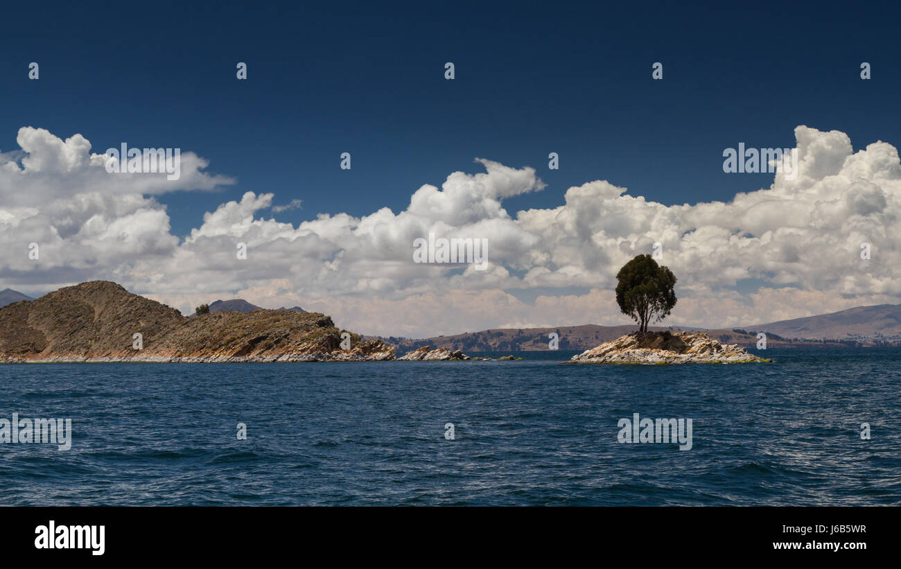 Tree on a small island at Lake Titicaca, Bolivia Stock Photo - Alamy