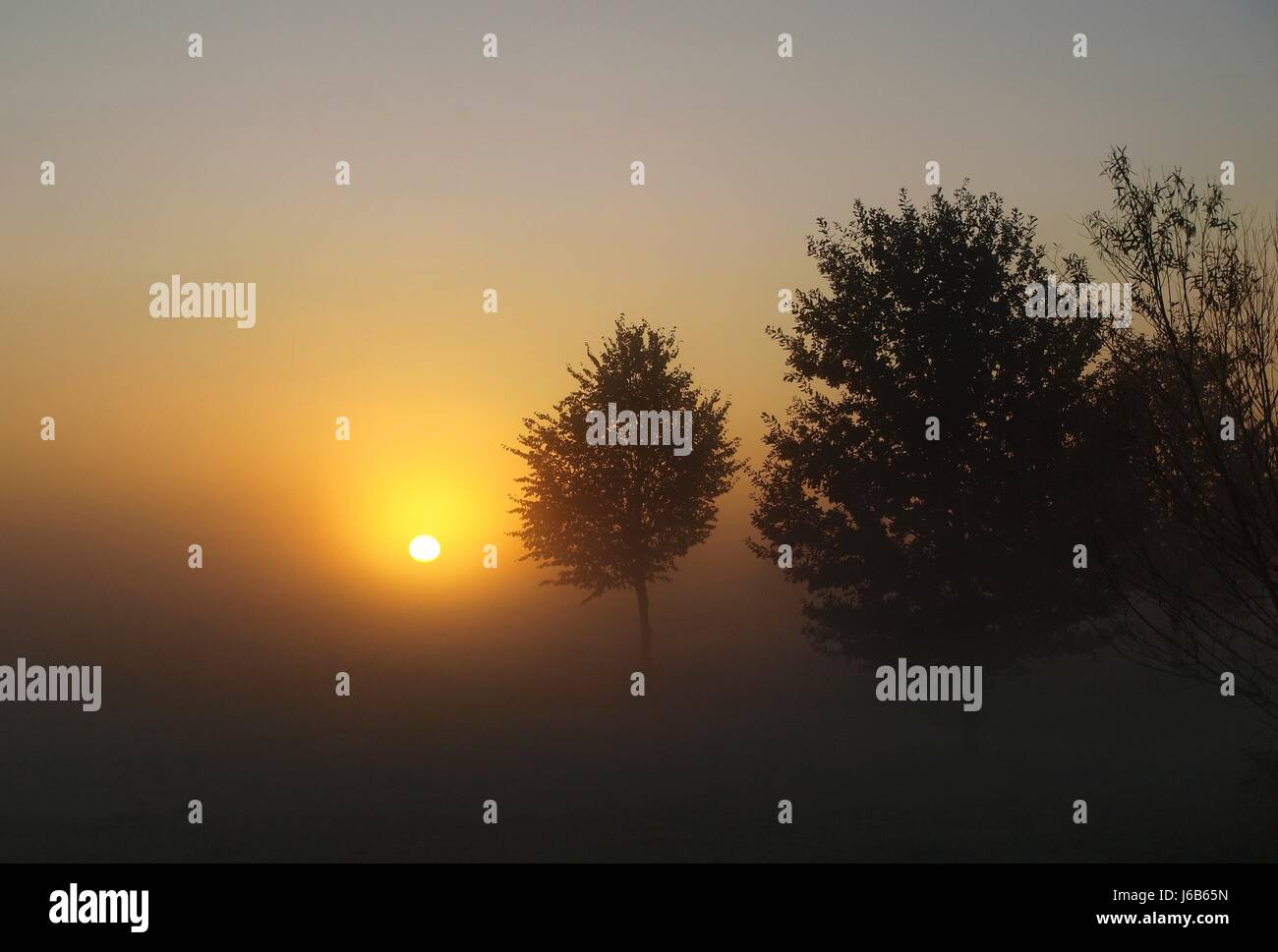 fog colour colors colours shine shines bright lucent light serene ...