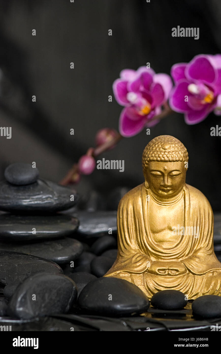 buddha meditation harmony zen flower orchid plant buddhism pictogram ...