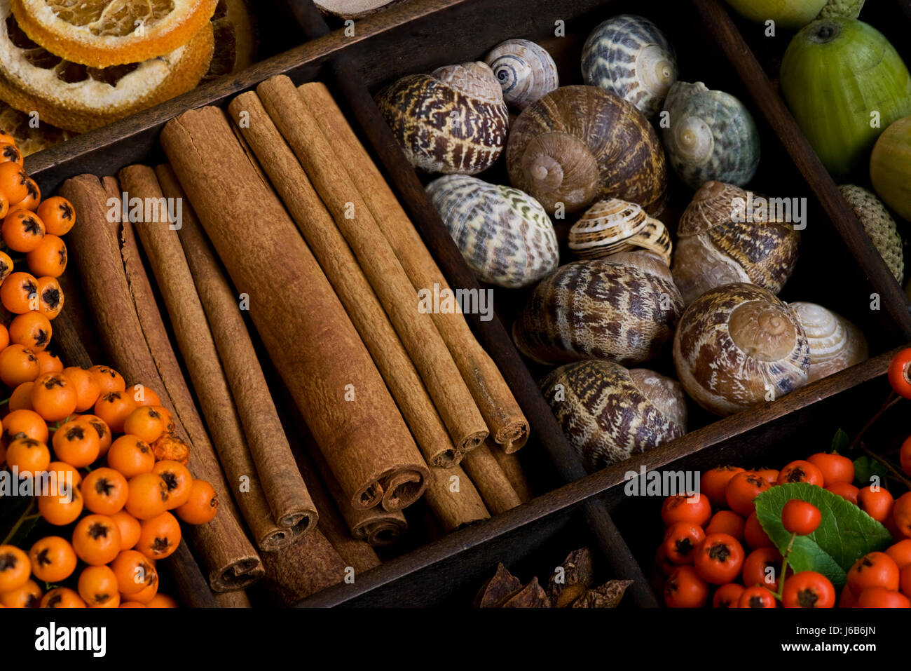 snail shell berries assortment letter case cinamon cinnamon fall autumn ...