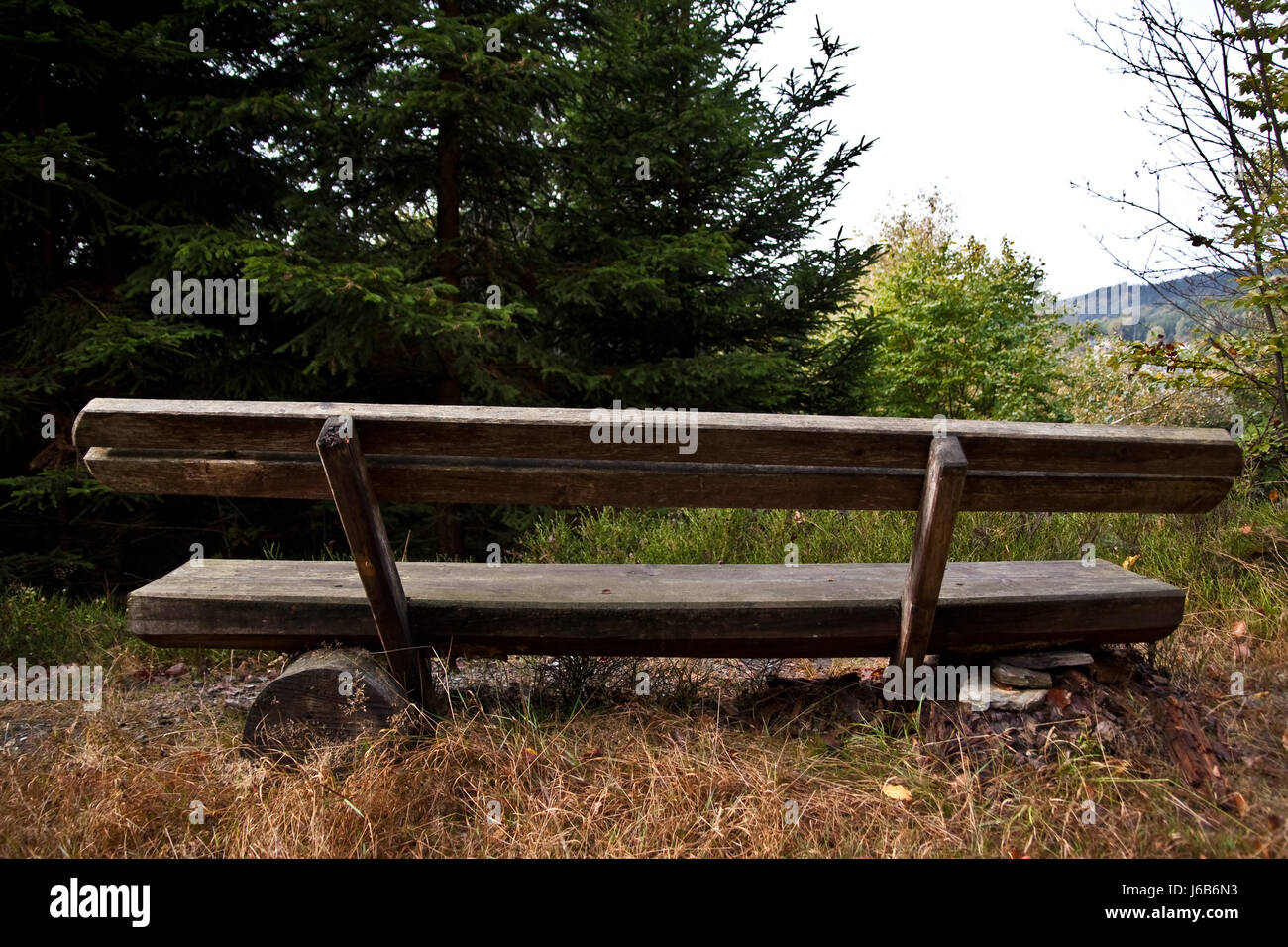 forest nature environment enviroment mountains ailing seat thuringia ...