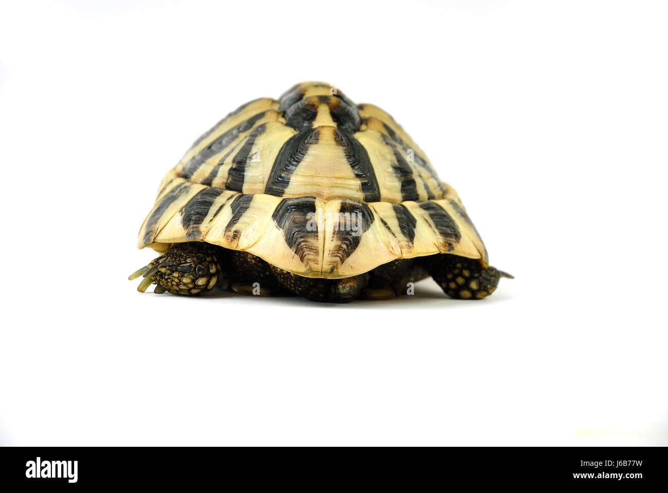 Gtiechisch hi-res stock photography and images - Alamy