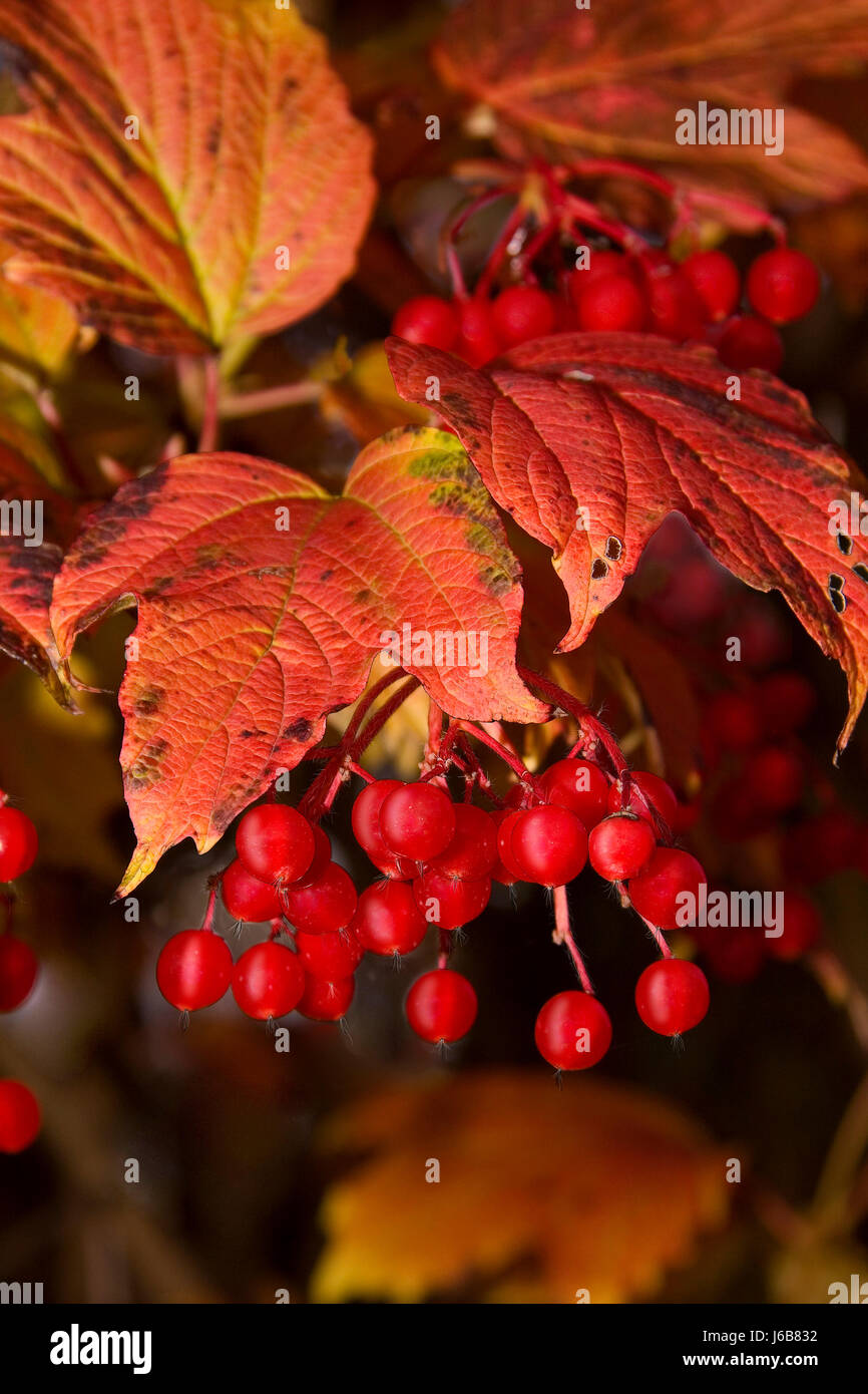 Wd4 hi-res stock photography and images - Alamy