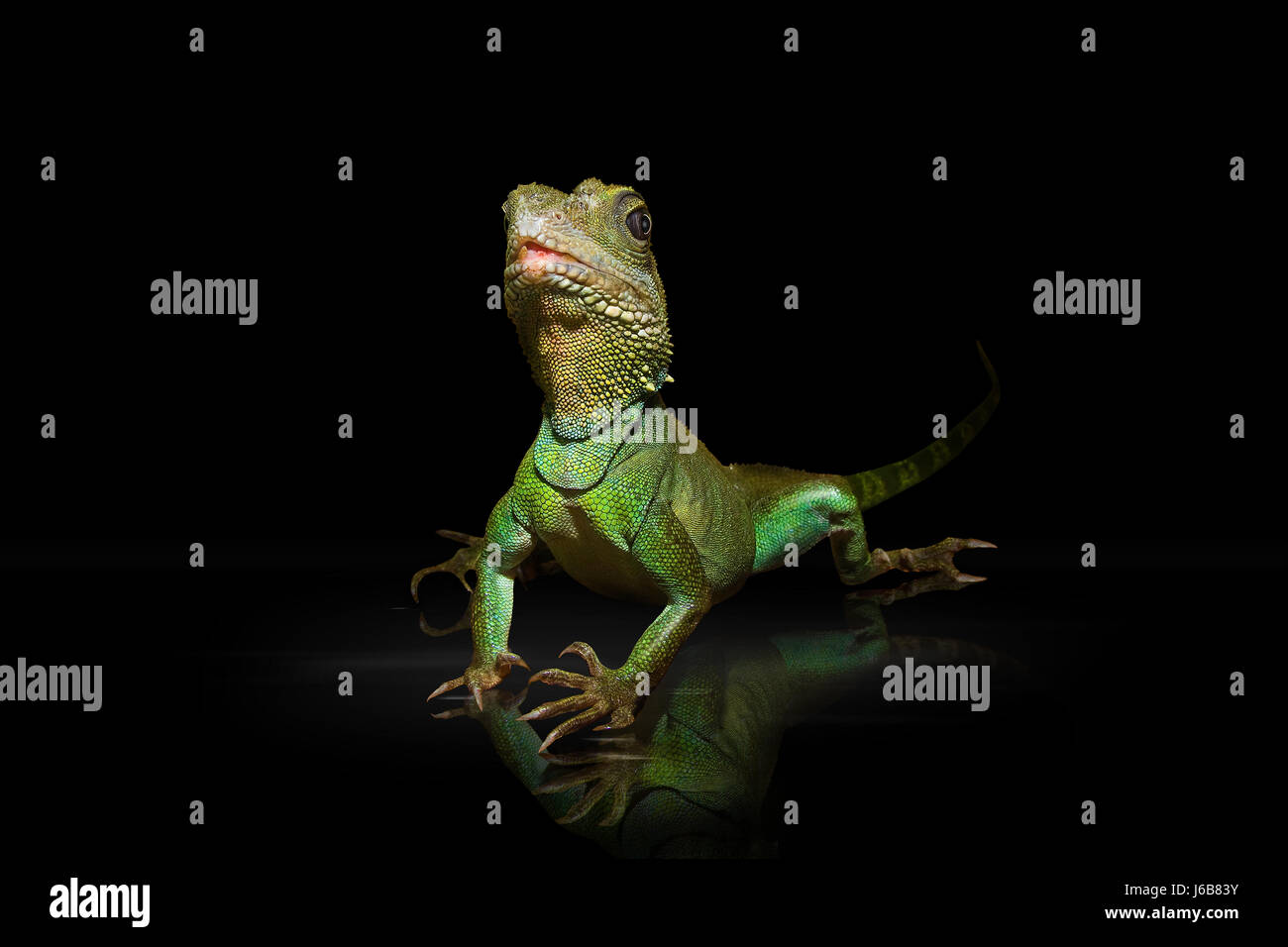 Wd13 hi-res stock photography and images - Alamy