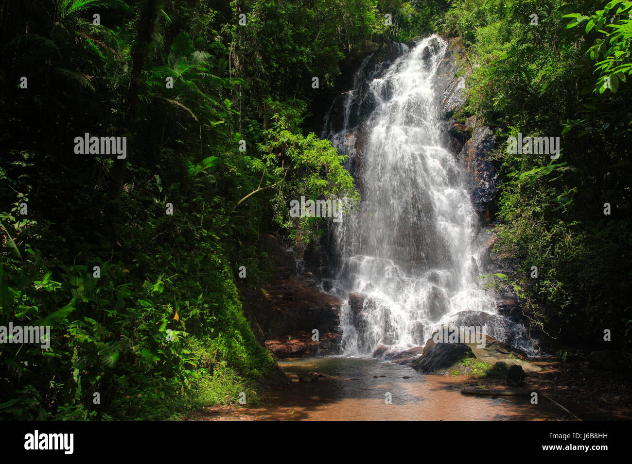 waterfall in the rainforest Stock Photo - Alamy