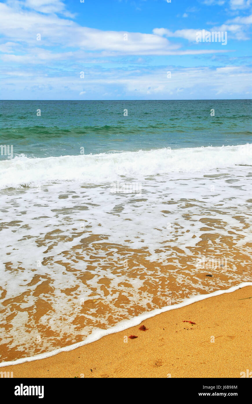 beach seaside the beach seashore waves tropical salt water sea ocean ...