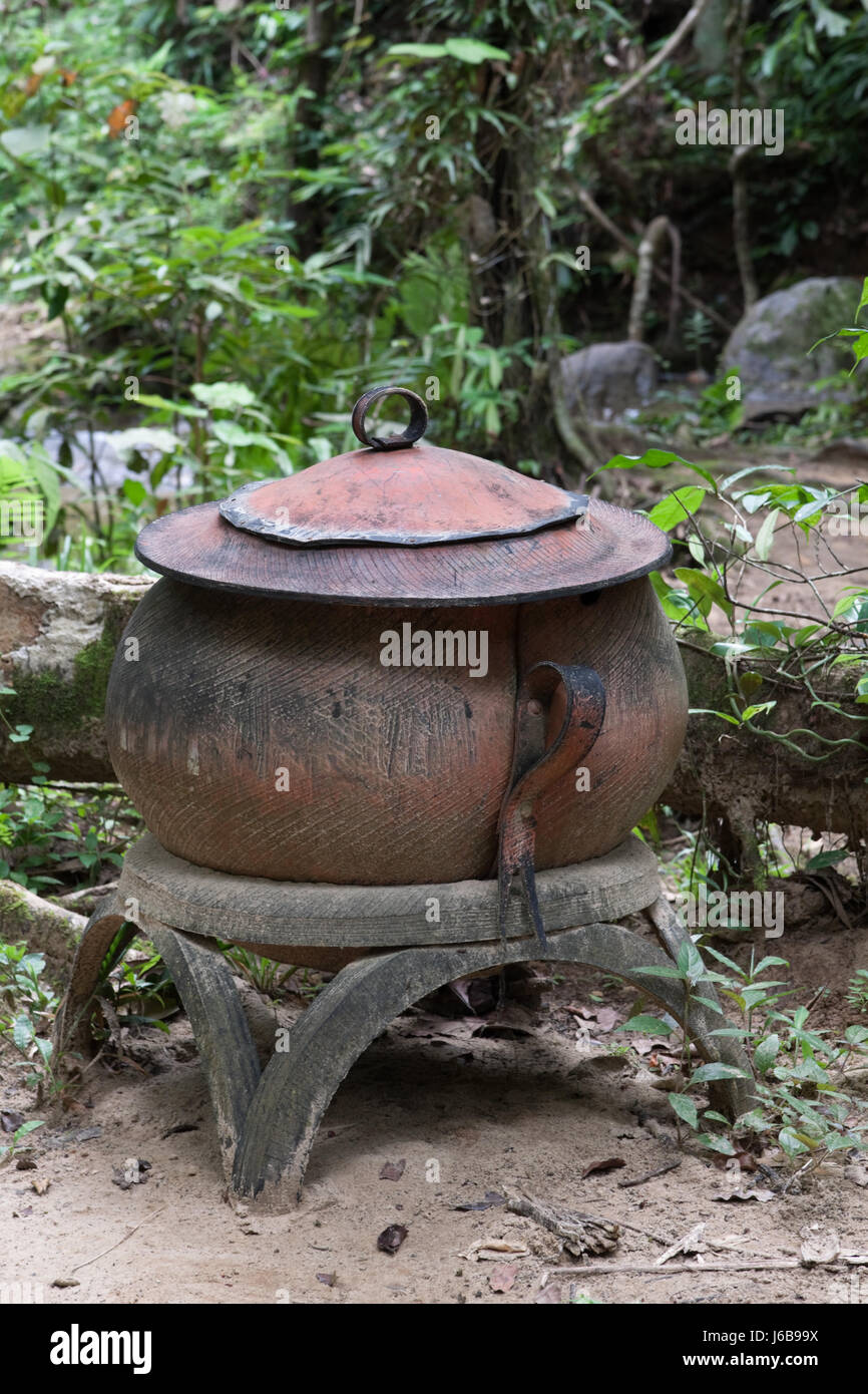 garbage can trash can dustbin bin rainforest rain forest forest nature ...