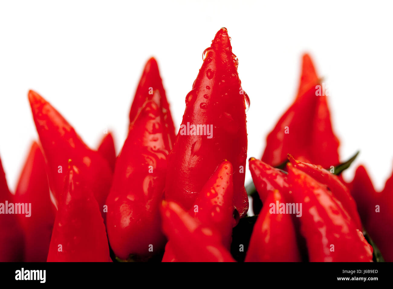 chili - capsicum Stock Photo - Alamy