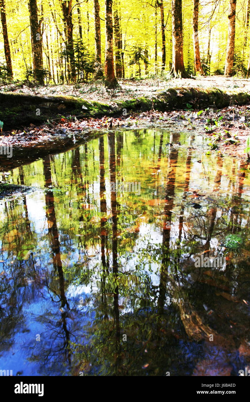 travel tree trees wood hike go hiking ramble outdoor fresh water lake ...