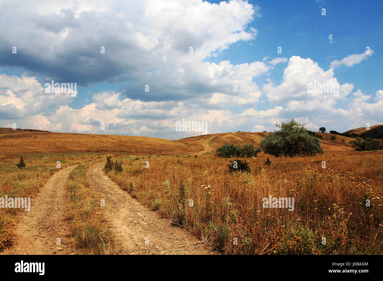 tree trees sunset agriculture farming field summer summerly sunrise ...