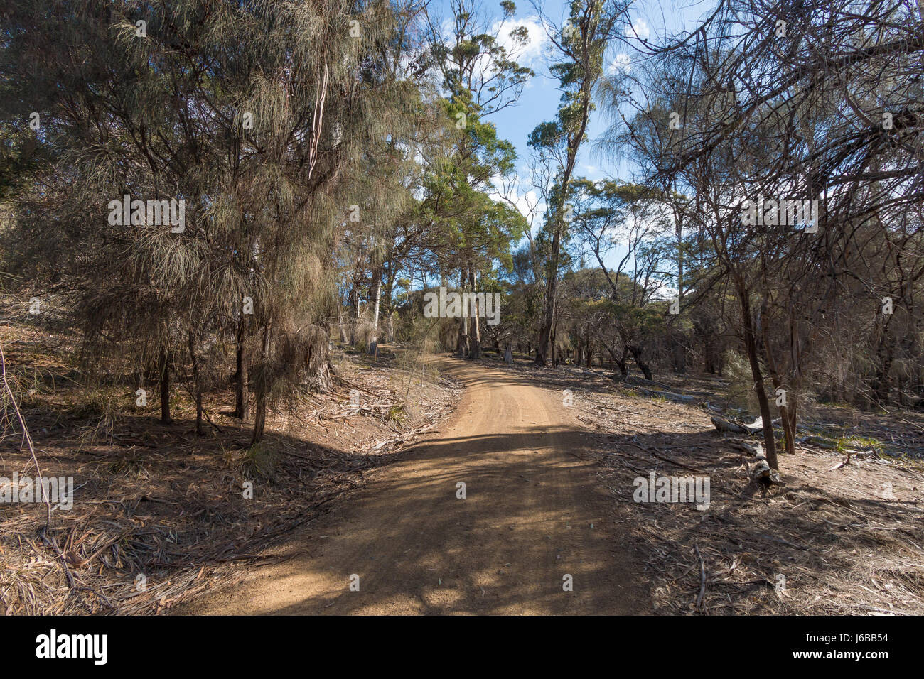 Beautiful landscape view from the hiking trail in Maria Island National ...