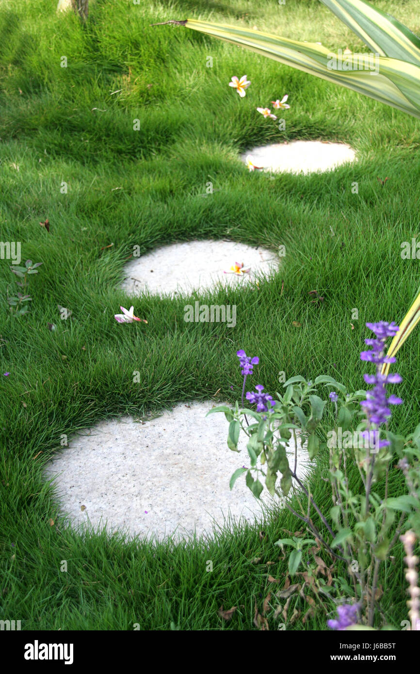 garden stone steps step landscaping path way meadow grass lawn green ...
