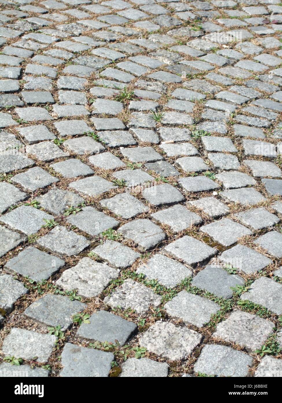 plaster floor covering coating film stones plaster floor covering ...