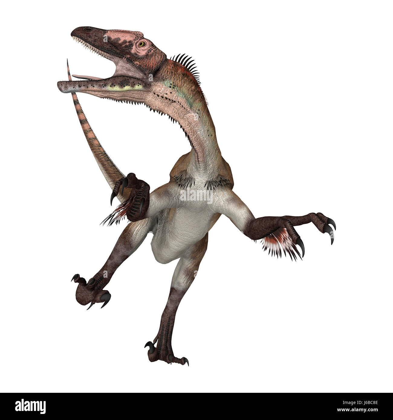 3D rendering of a dinosaur utahraptor isolated on white background ...