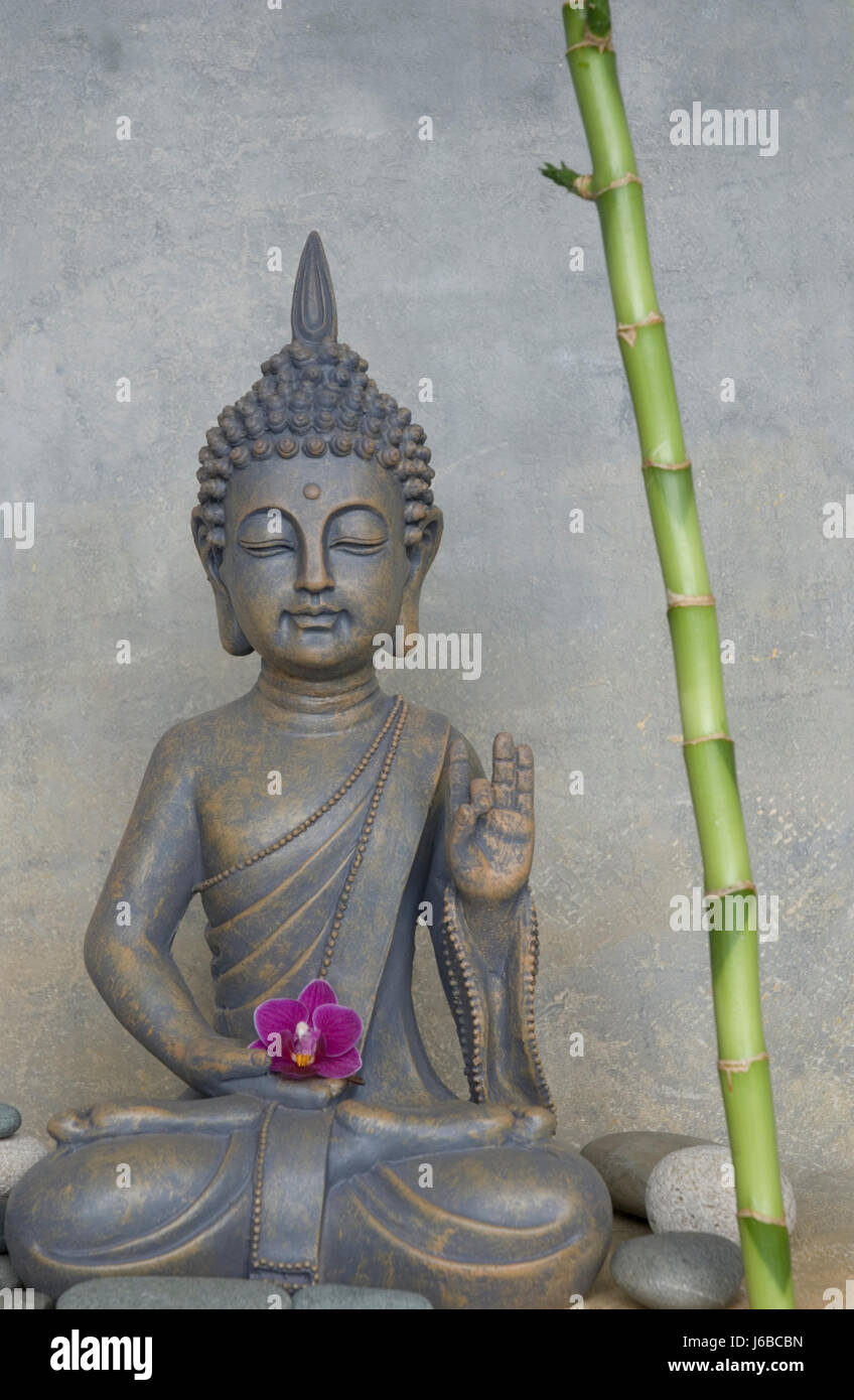buddha flower plant asia buddha bamboo meditation harmony asian ...