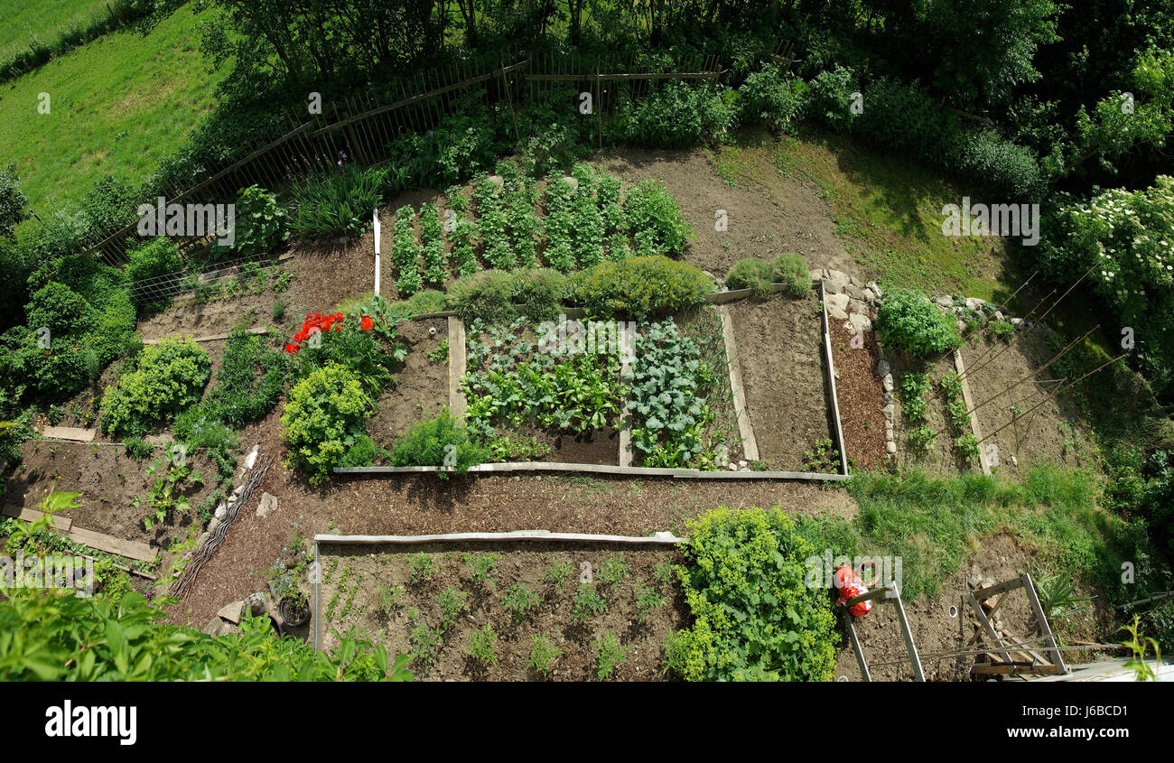 aerial perspective garden plant sight view outlook perspective vista ...