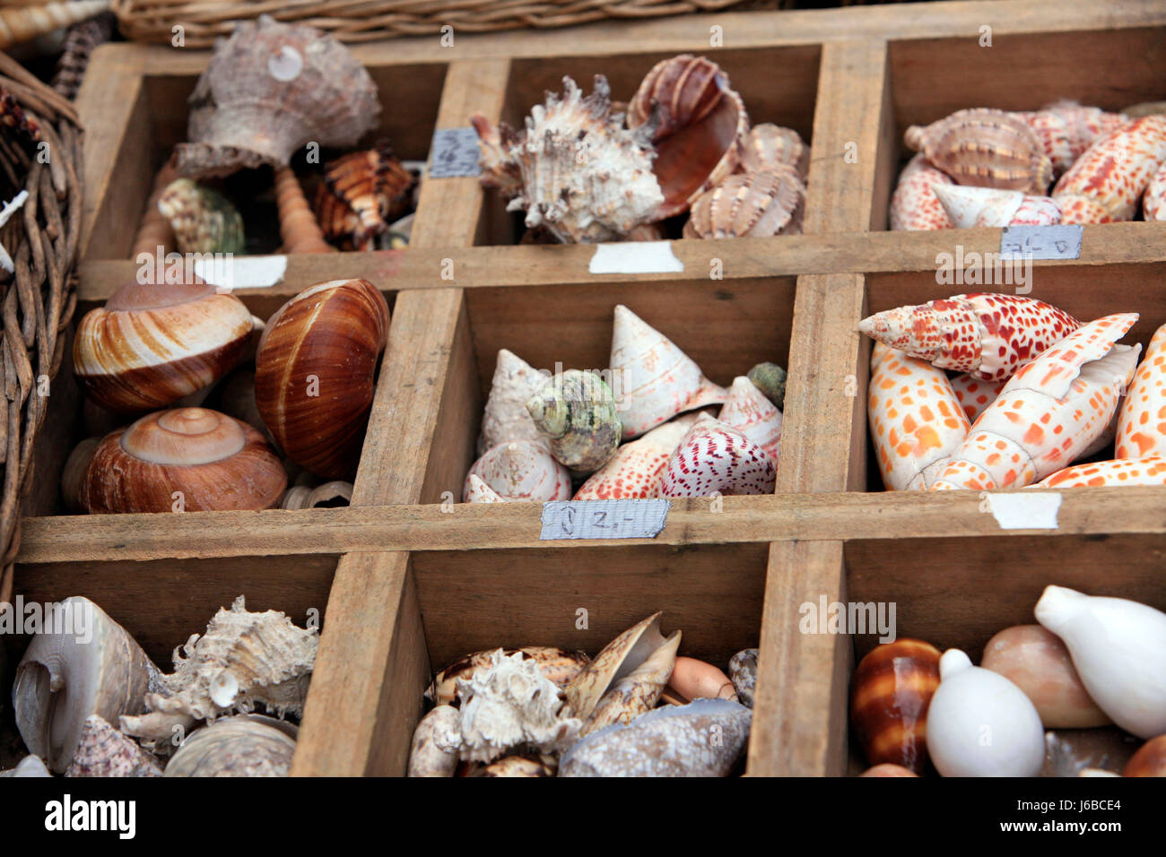 folk festival markets rummage collection rag-fair tradesman dealer ...