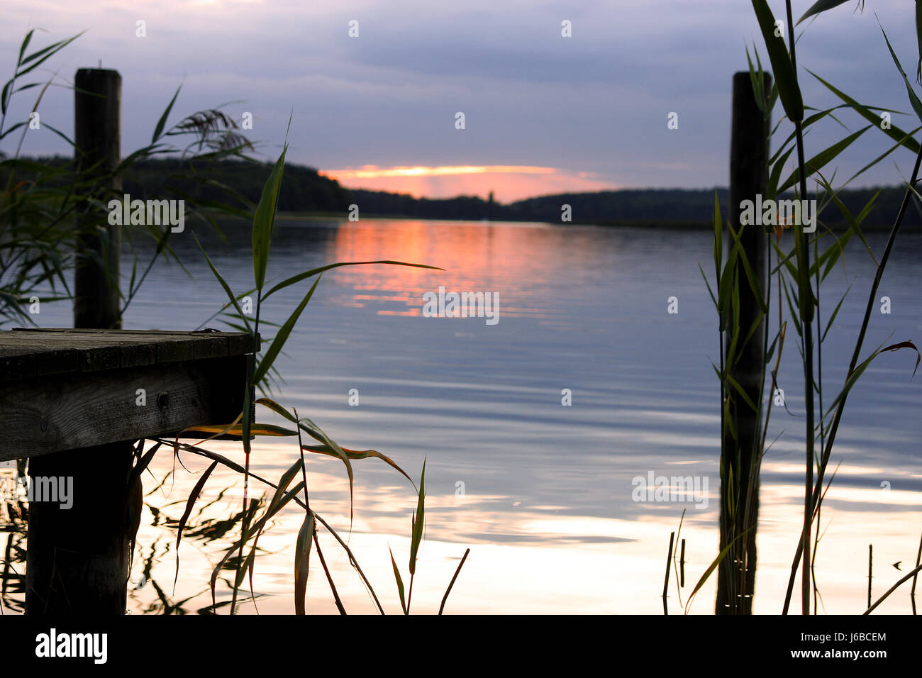 evening at the lake Stock Photo - Alamy