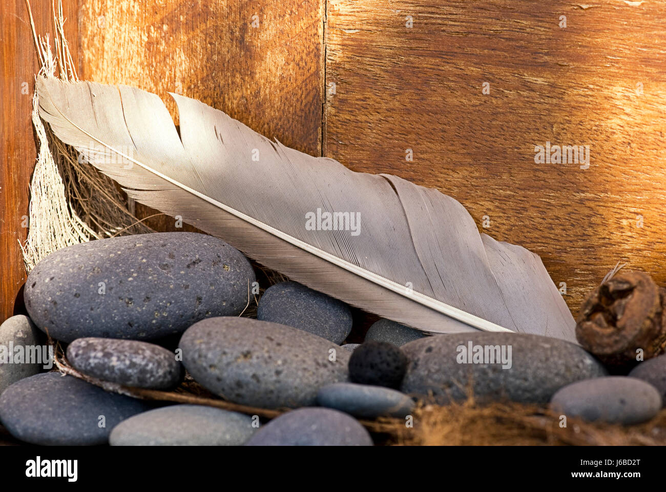 pebbles and spring Stock Photo - Alamy