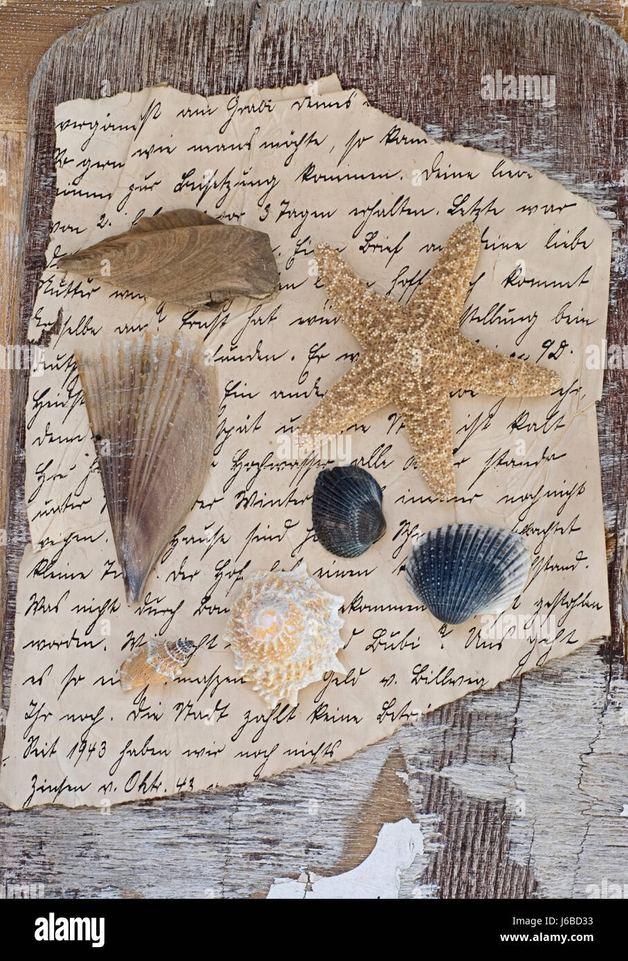 letter starfish collection handwriting shells mussels nature old still ...
