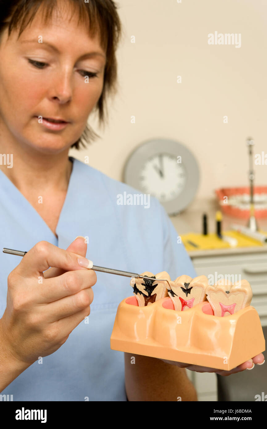 teeth dentist tooth hygiene caries tartar doctor physician medic ...