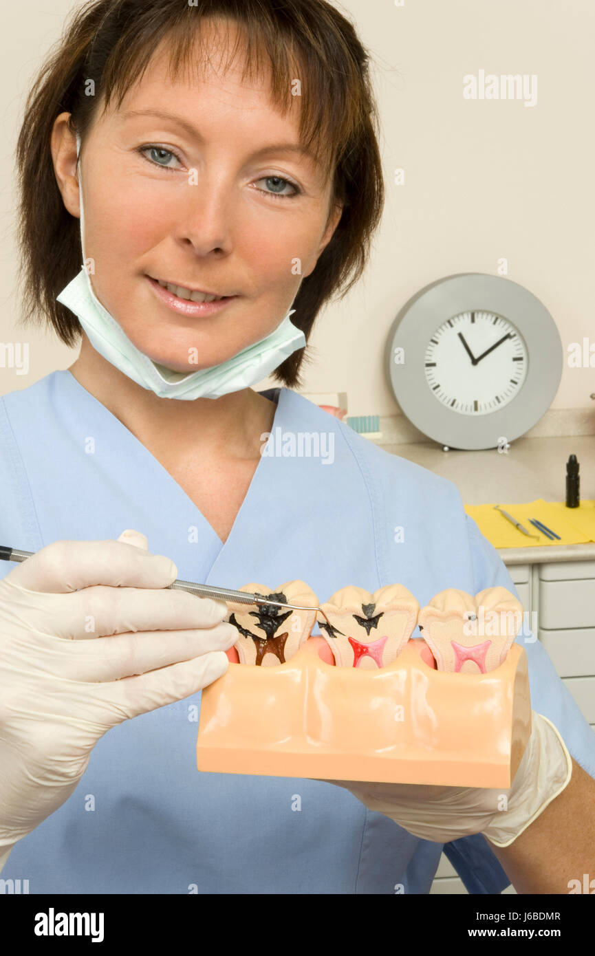 teeth dentist tooth hygiene caries tartar doctor physician medic ...