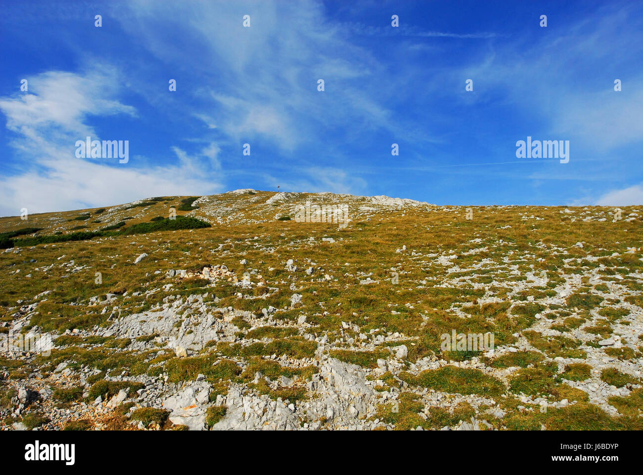 alps lower austria mountain nature hike go hiking ramble summit flora ...