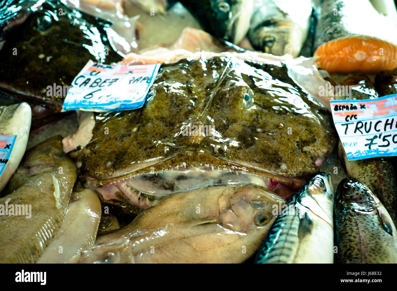 restaurant food aliment fish kitchen cuisine boil cooks boiling cooking ...