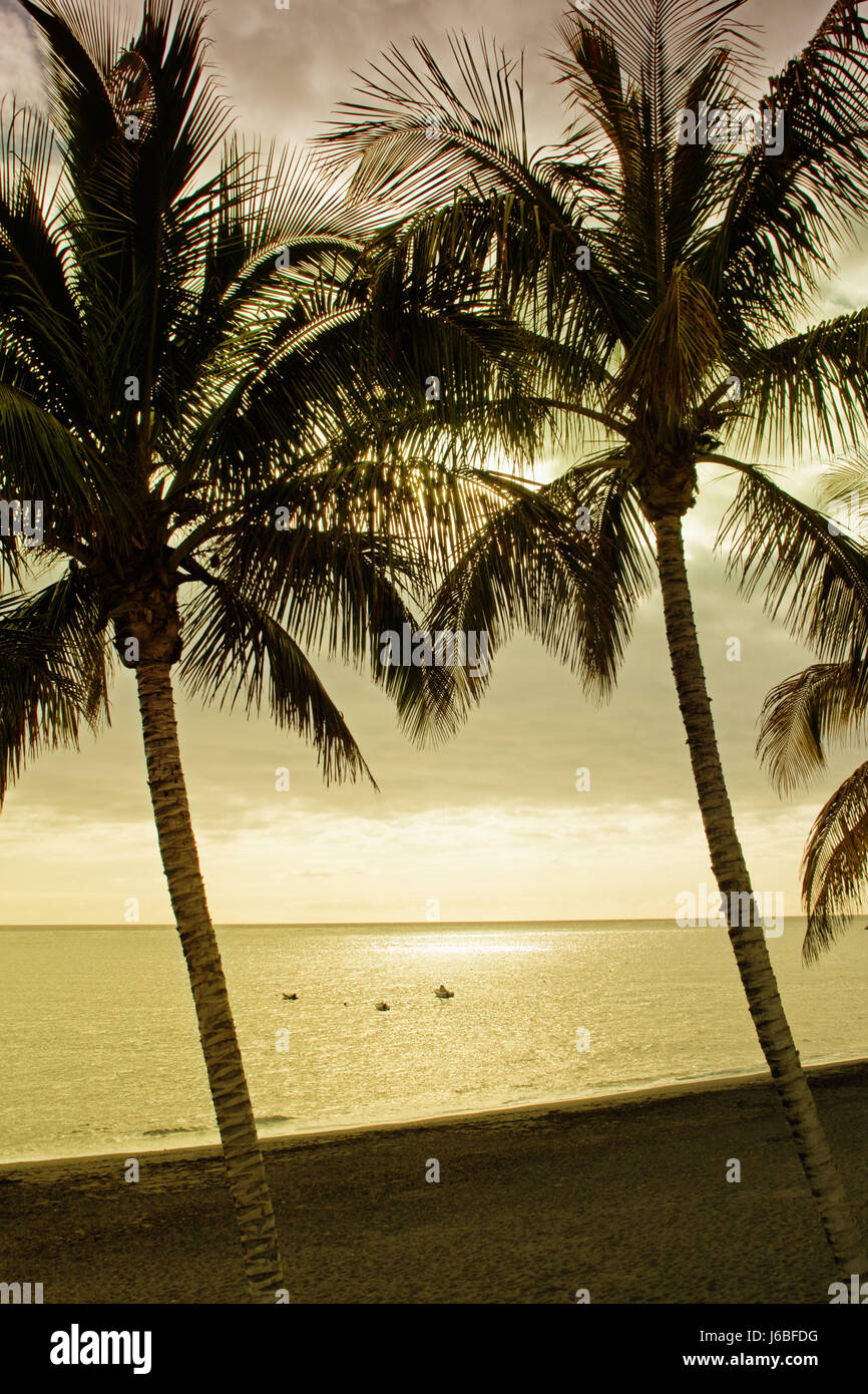 sunlight on the beach Stock Photo - Alamy