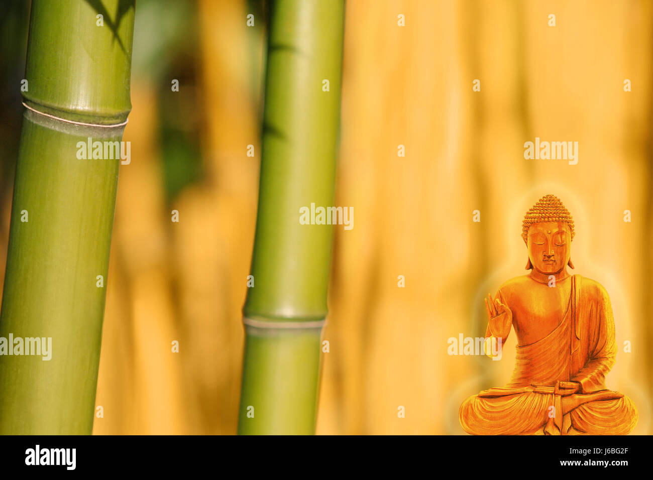 enlightenment buddha bamboo aura bamboo cane buddhism asia ...
