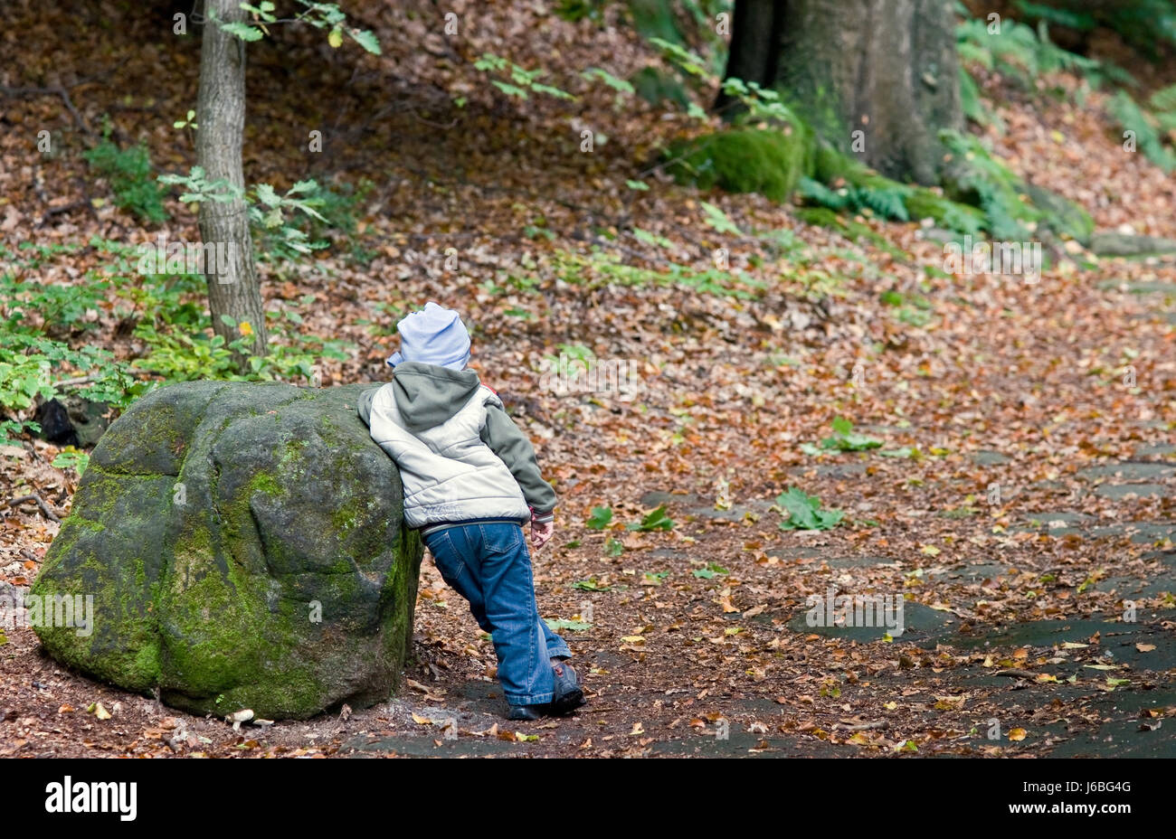 hike go hiking ramble buck young younger child forest toddler migrate ...