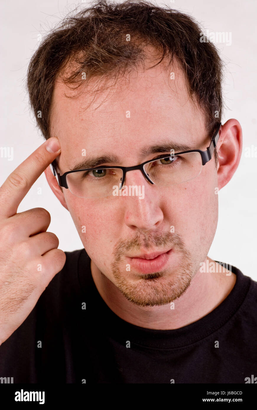 bird birds spin crazy indicate show bird birds spin crazy forehead ...