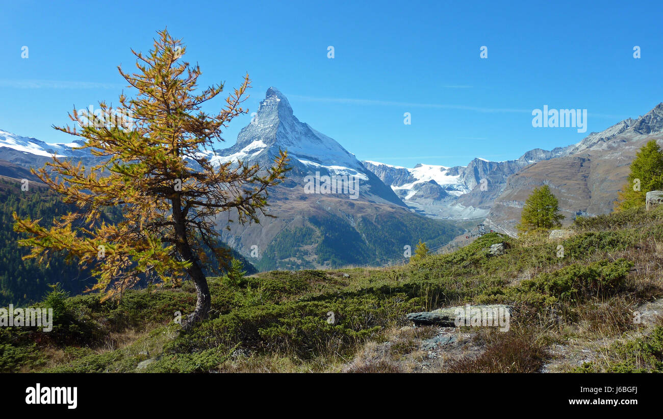 autumn at matterhorn Stock Photo - Alamy