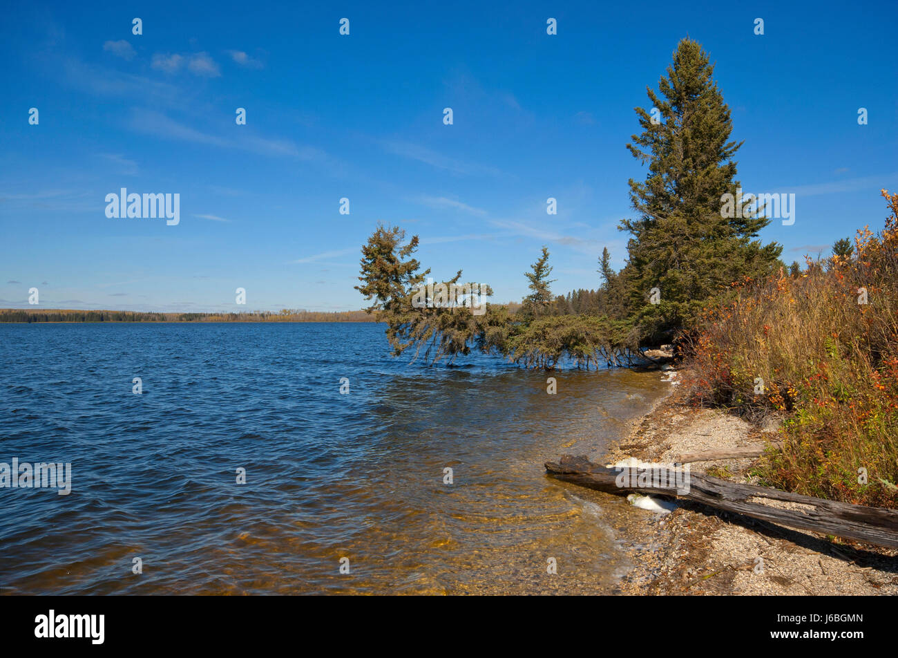 Audy hi-res stock photography and images - Alamy