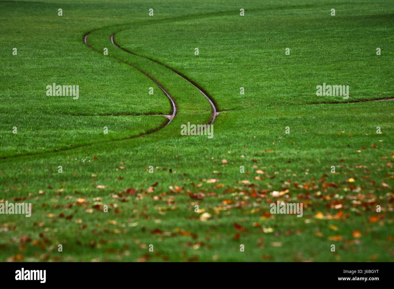 park garden leaves gardens meadow grass lawn green foliage fall autumn ...