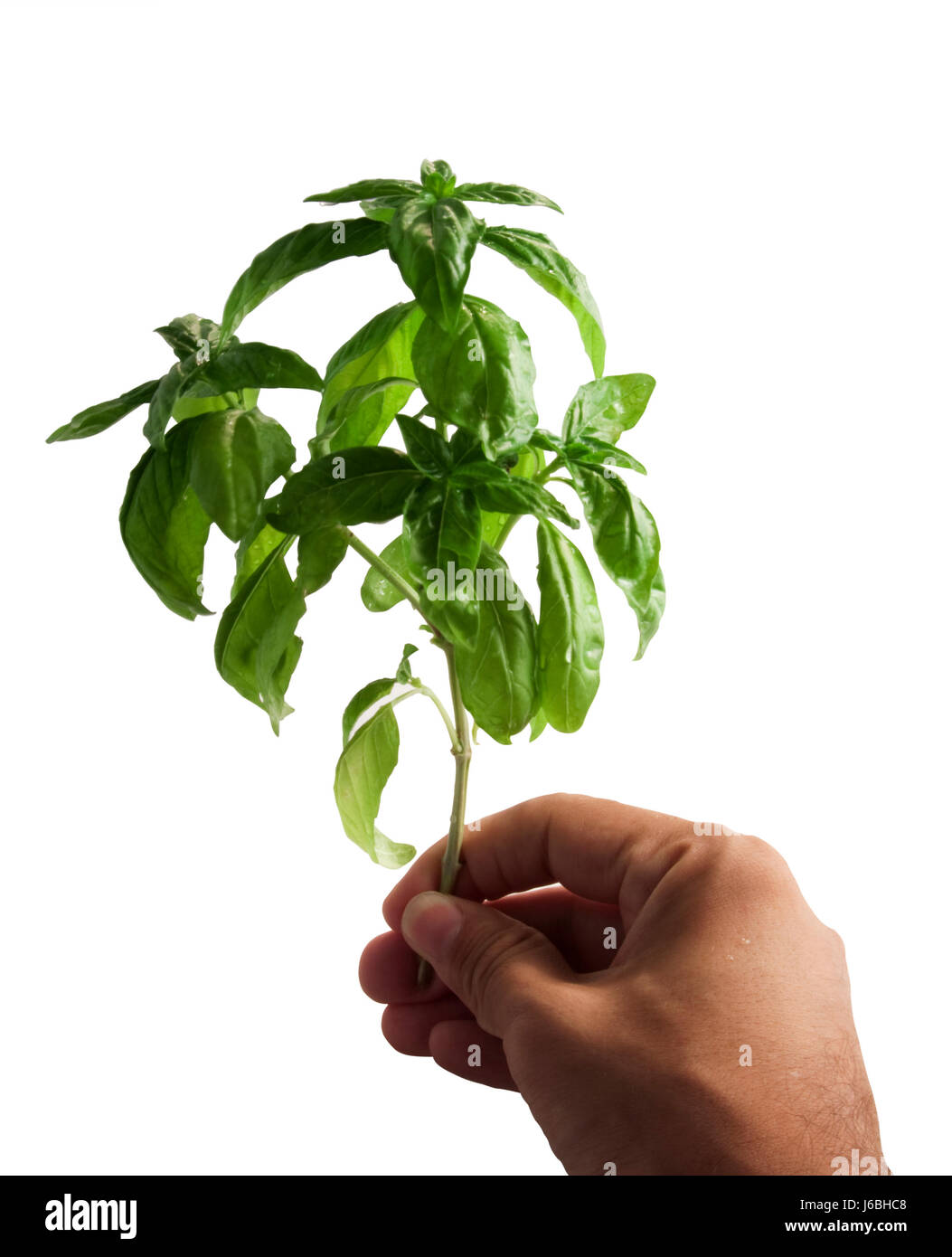 growth grow pictogram symbol pictograph trade symbol nature hand finger ...