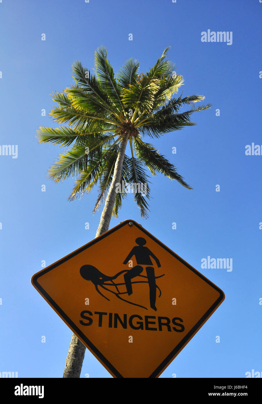 Warning Sign With Nettles High Resolution Stock Photography and Images ...