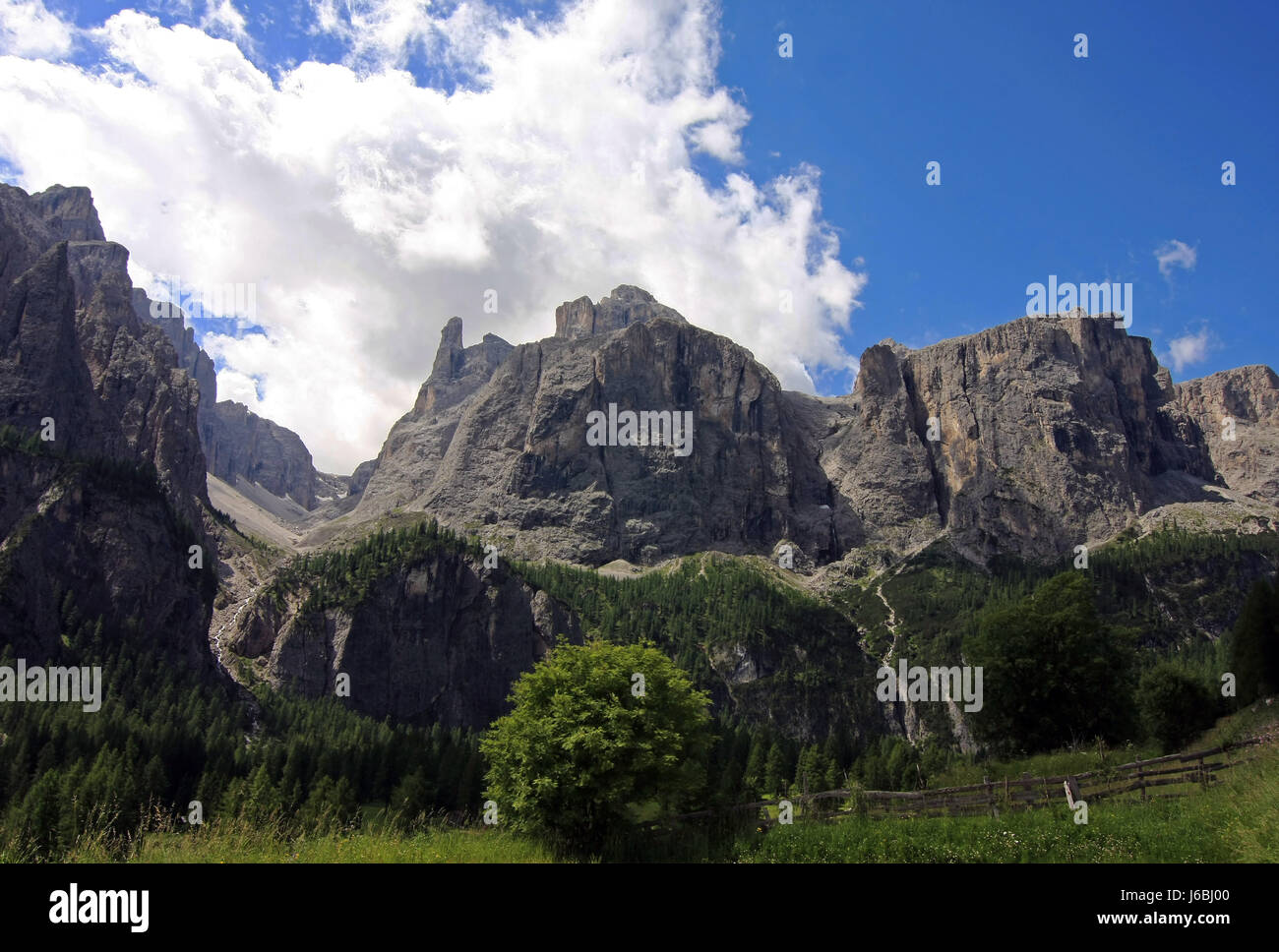 mountains dolomites alps summit valley climax peak mountain tree trees ...