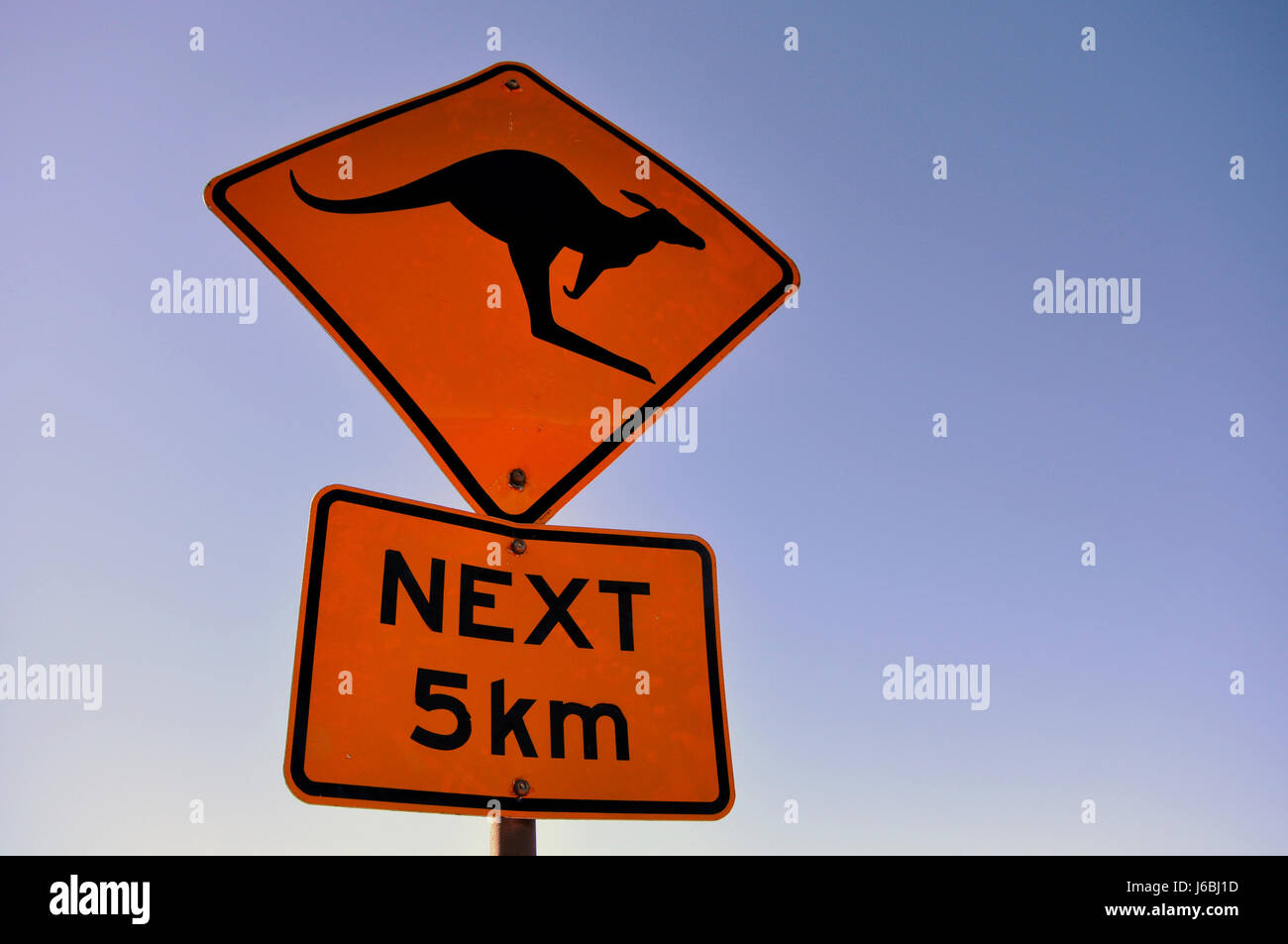 kangaroo road sign Stock Photo - Alamy