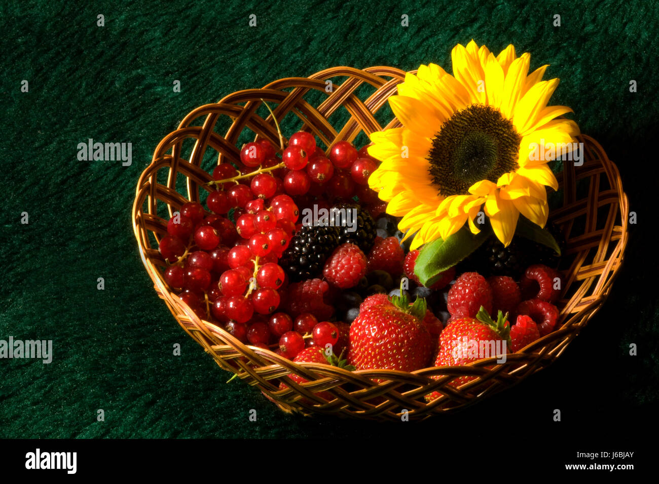 beere beerenkorb sonnenblume stilleben frchte obst sommer natur gesund ...