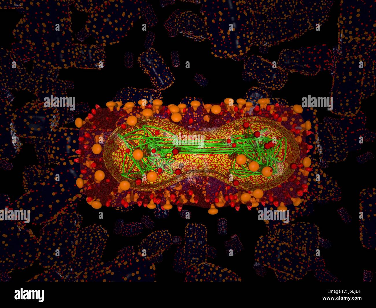 virus vaccination disease epidemic pathogen smallpox illness sickness ...