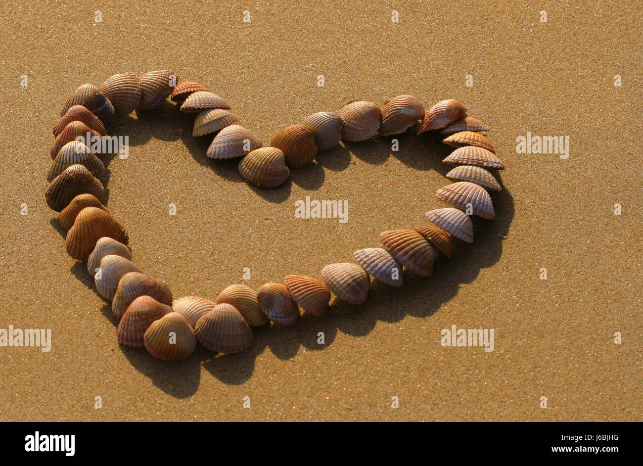 heart made of shells Stock Photo - Alamy