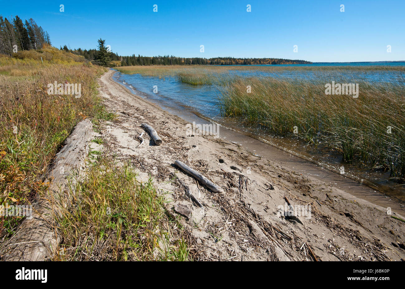 Elk tracks hi-res stock photography and images - Alamy