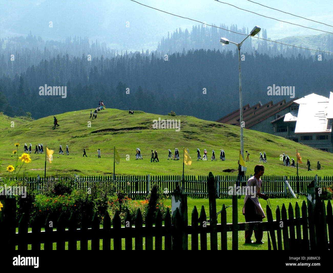 Flower Garden, Gulmarg Tourism And Travel, Summer beauty of Gulmarg ...