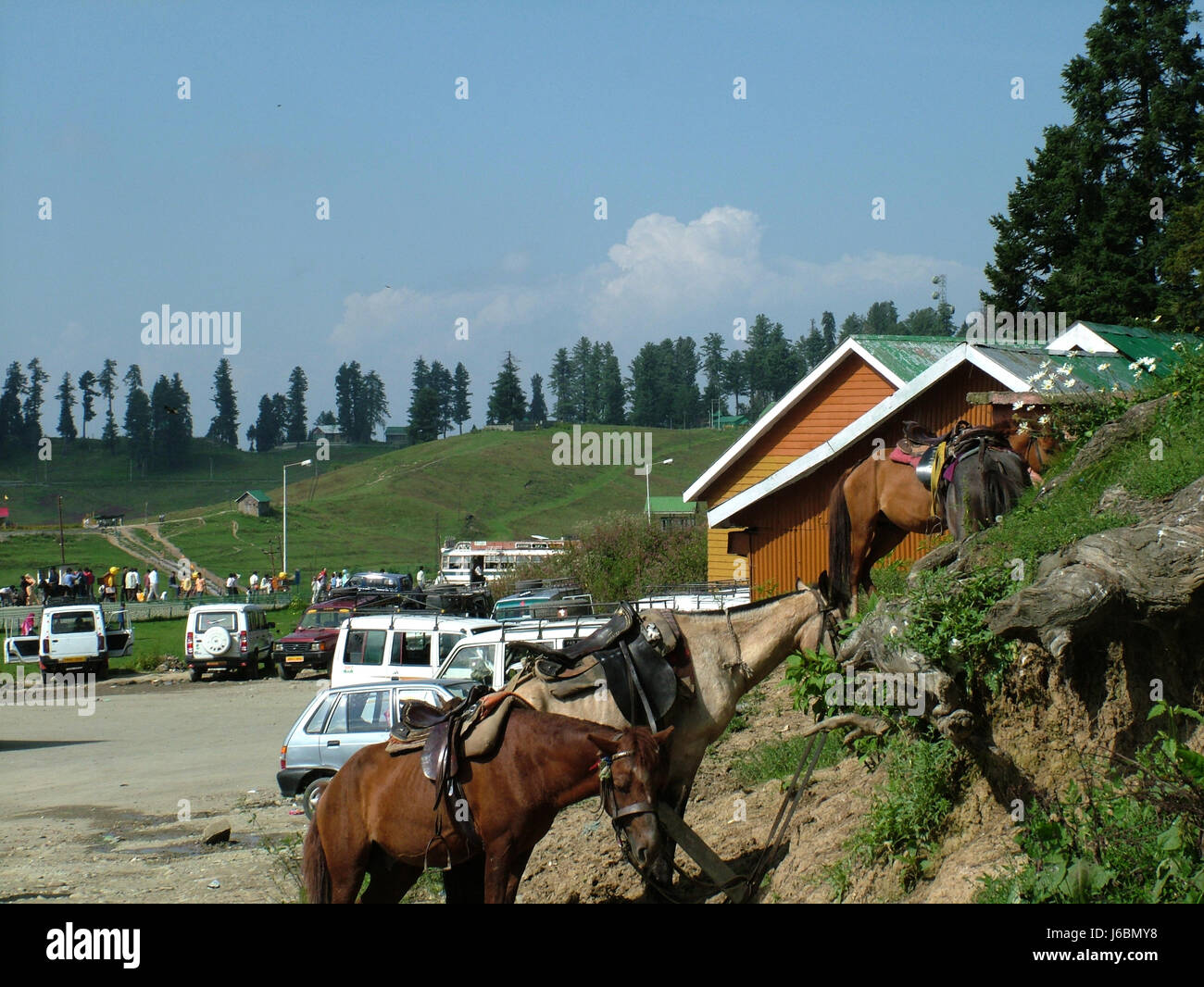 Gulmarg Tourism And Travel, Summer beauty of Gulmarg, Places to visit ...