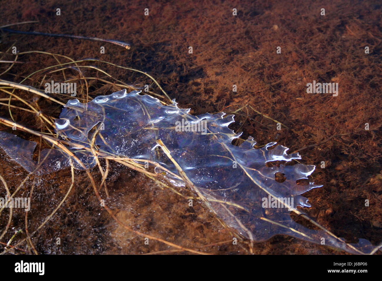 winter cold ice frost frozen fresh water lake inland water water winter ...