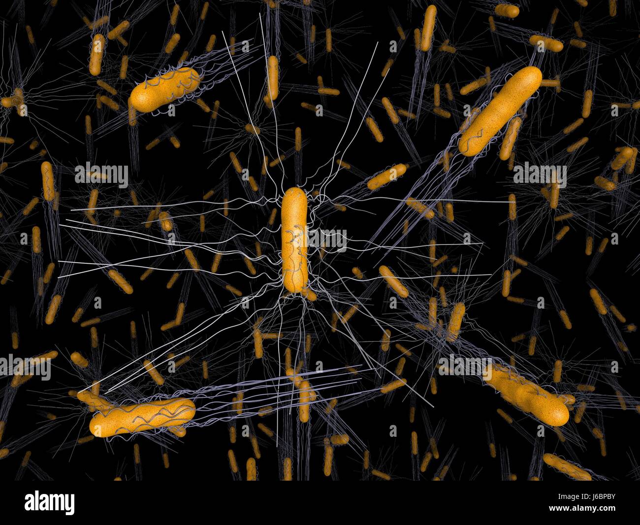 disease pathogen illness sickness diarrhea diarrhoea bacteria ...