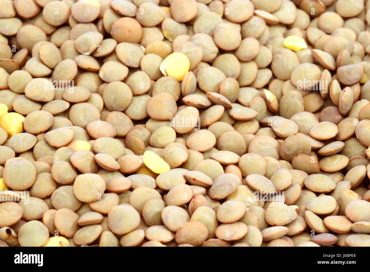 progenies fruits vegetable enclosure lenses backdrop background food ...